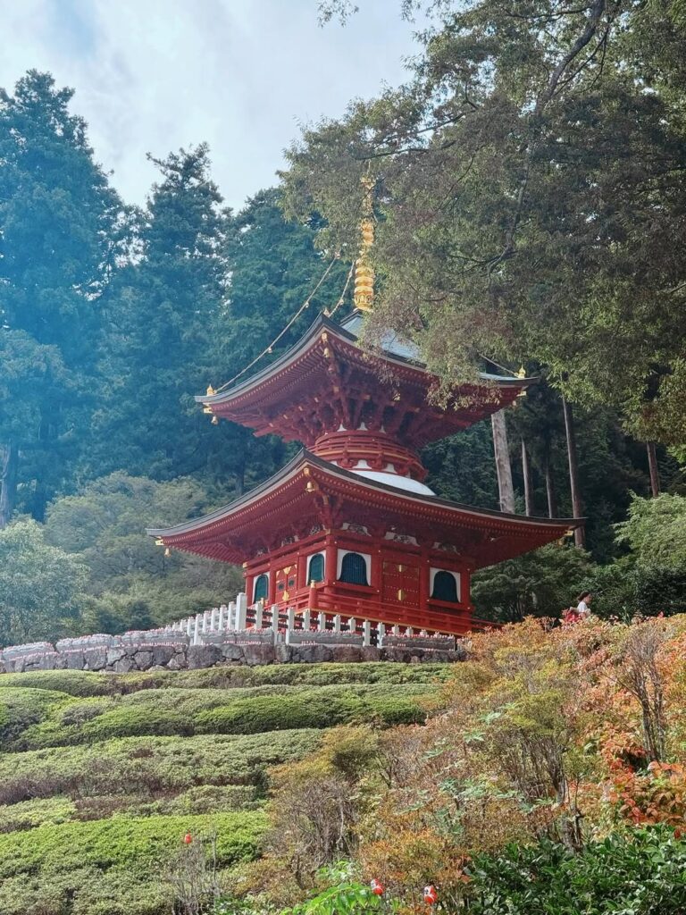 Inside Japan’s Temples: A Traveler’s Guide to Peace and Respect