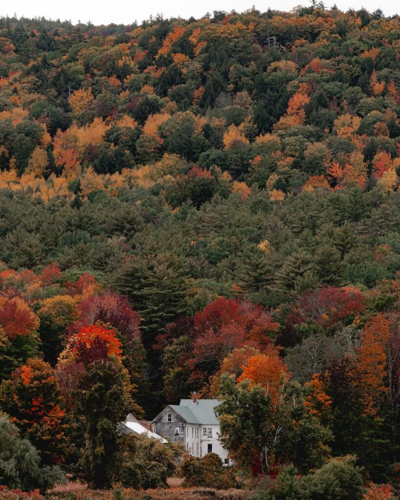 Things to Do in New England This Fall That Capture the Season’s Soul